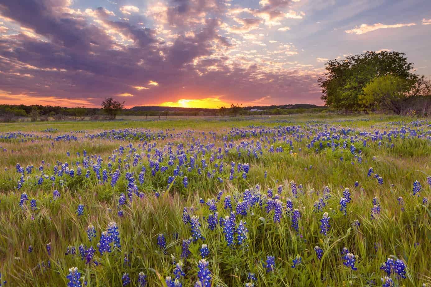 15 Best Small Texas Towns | TEXINI | Texas Lifestyle | Regions of Texas