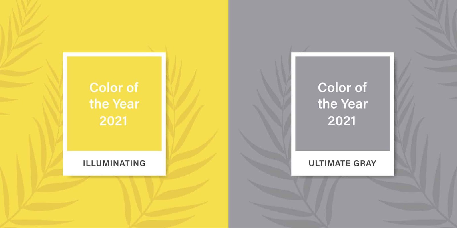 Color of the Year | Texini | Texas Lifestyle | Design Series